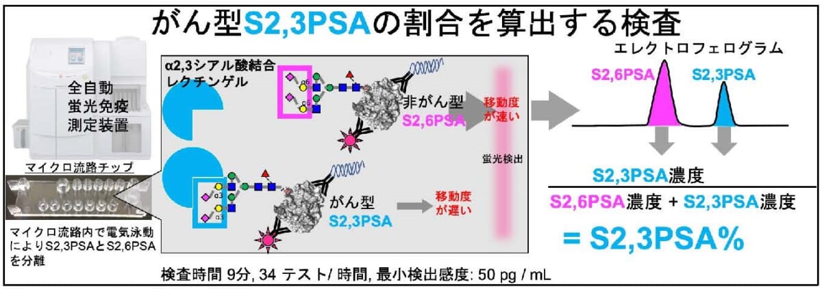前立腺がん診断の精度を飛躍的に高める国産の新規診断法「S2,3PSA%検査」の保険適用について - 弘前大学